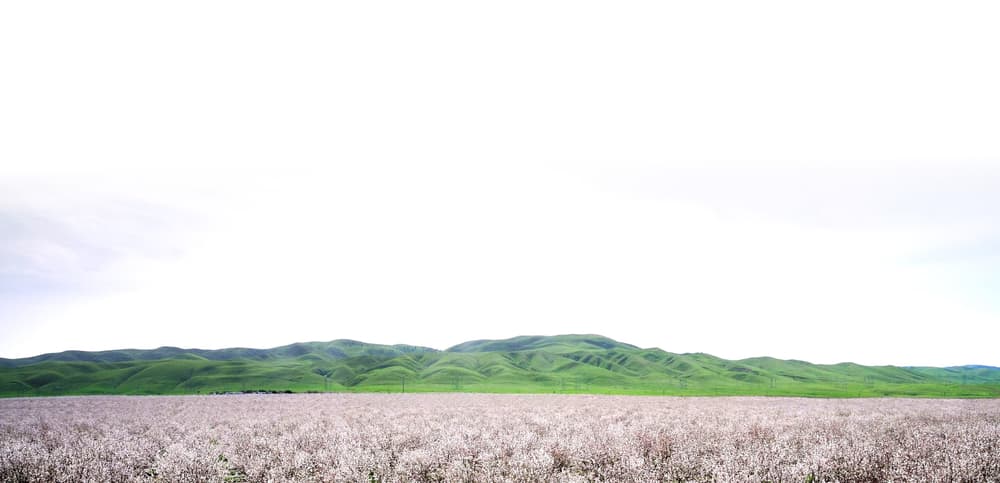 Packaging | Blue Diamond