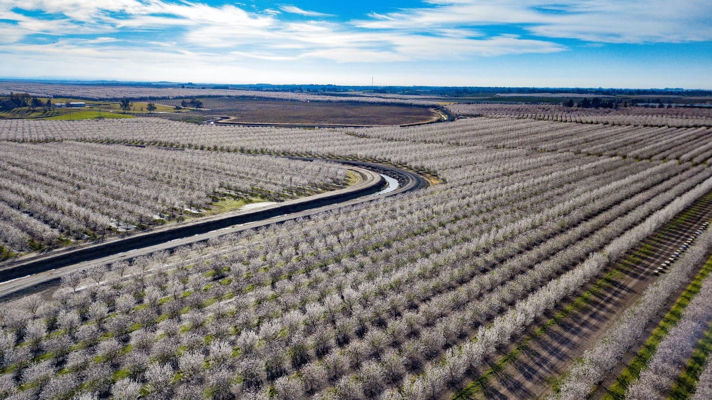 Packaging | Blue Diamond