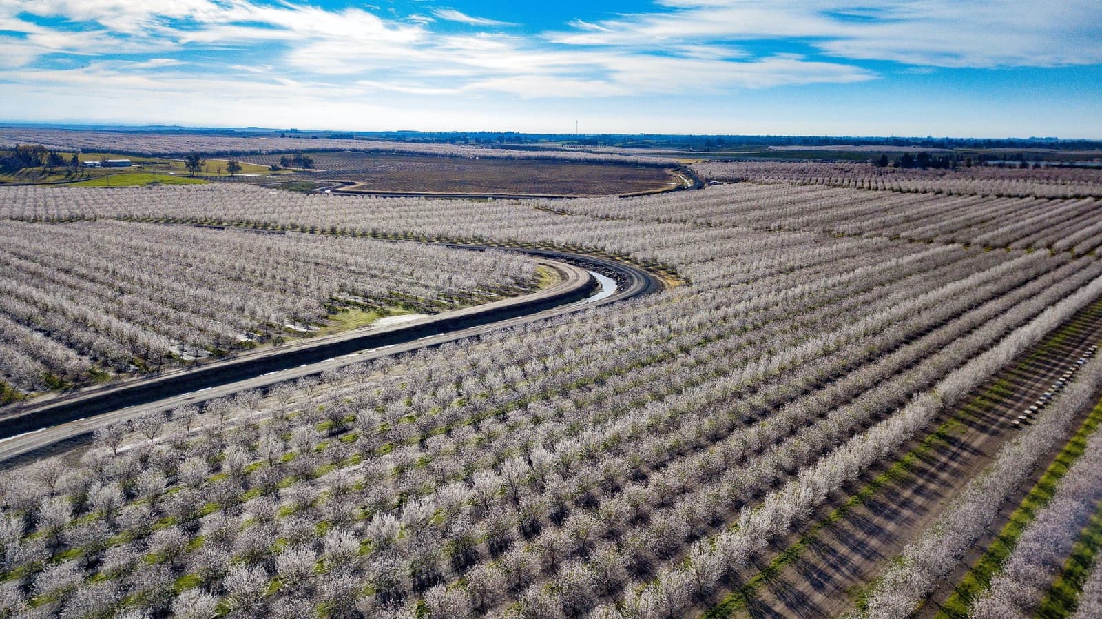 Packaging | Blue Diamond